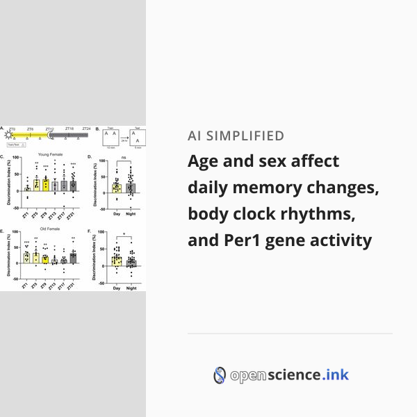 Age and sex affect daily memory changes, body clock rhythms, and Per1 ...