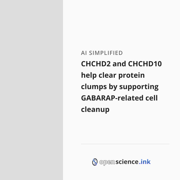 CHCHD2 and CHCHD10 help clear protein clumps by supporting GABARAP ...