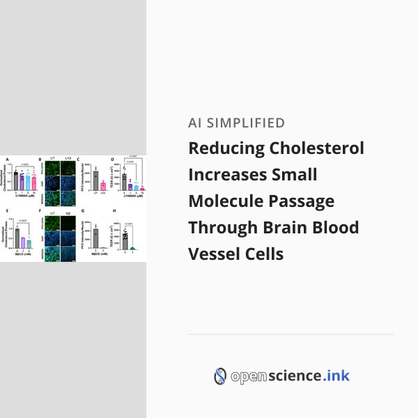 Reducing Cholesterol Increases Small Molecule Passage Through Brain ...