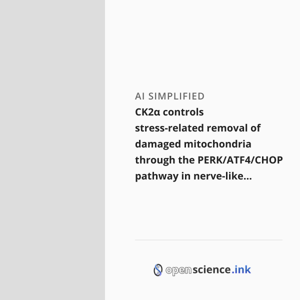 CK2α controls stress-related removal of damaged mitochondria through ...