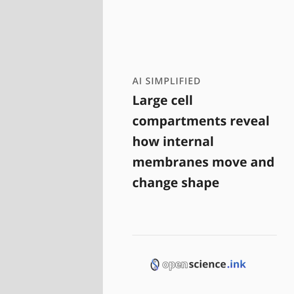 Large cell compartments reveal how internal membranes move and change ...