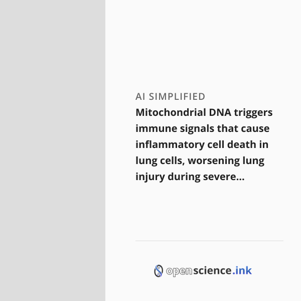 Mitochondrial DNA triggers immune signals that cause inflammatory cell ...