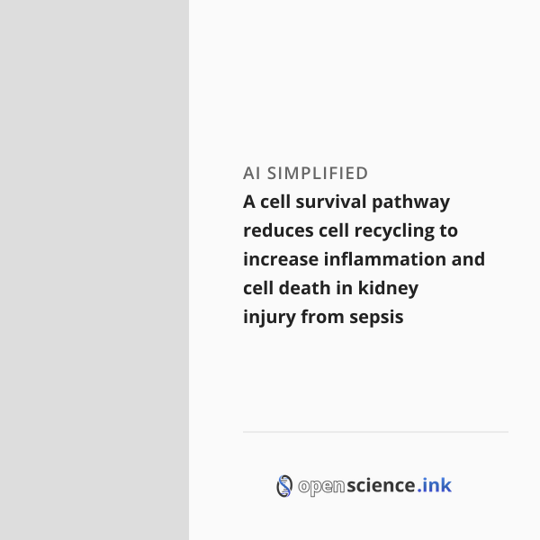 A cell survival pathway reduces cell recycling to increase inflammation ...