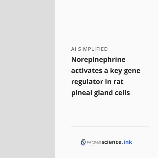 Norepinephrine activates a key gene regulator in rat pineal gland cells ...