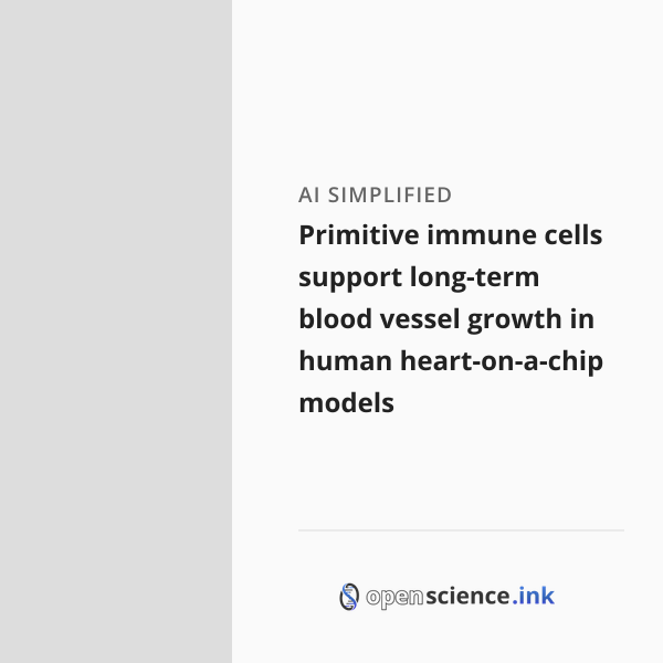 Primitive immune cells support long-term blood vessel growth in human ...