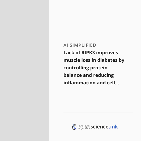Lack of RIPK3 improves muscle loss in diabetes by controlling protein ...