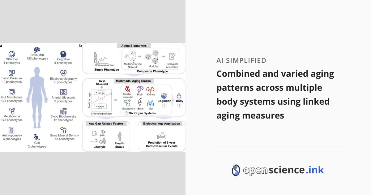 Synergistic and heterogeneous aging using composite phenotypes and ...